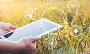 Role of Artificial Intelligence in Agriculture